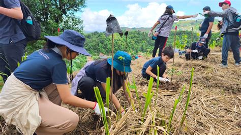 Pflanzaktion Im Schulwald Der Cdsc Klassen 6 Und 7 Im Einsatz Für Die