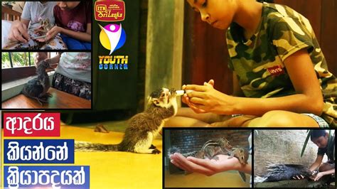 ආදරය කියන්නේ ක්‍රියාපදයක් දැන ගන්න කැමති නං 26 සඳුදා සවස 5 00 ට Youtube