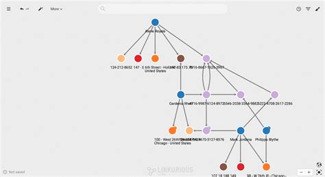 Manipulating The Graph Layouts Linkurious User Manual 3 0 14
