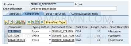 ABAP Dictionary Structure Amarmn Com