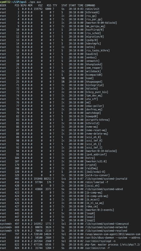 System Programming ps 명령어 구현 Hansu Kim