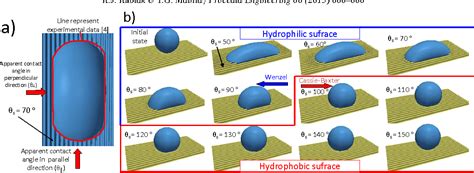 Figure 1 From Anisotropic Wetting Of Hydrophobic And Hydrophilic Surfacesmodelling By Lattice