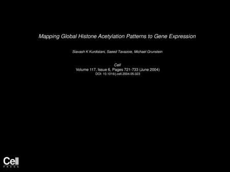 Changes In Histone Acetylation Caused By Progressive MtDNA Depletion