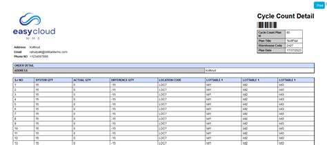 Cycle Count Report