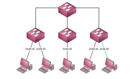 What Does The Vlan Trunk Protocol Vtp Do