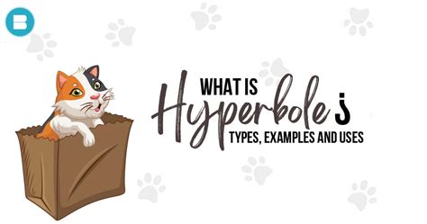 Hyperbole Definition Types Uses And Examples Blueroseone