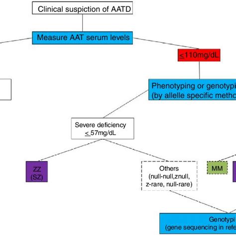 Normal And Protective Serum Levels Of Aat In The Several Testing Methods Download Scientific Normal And Protective Serum Levels Of Aat In The Several Testing Methods Download Scientific