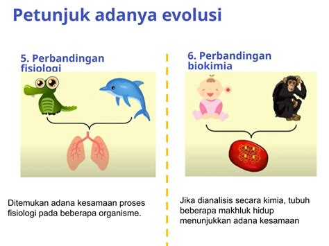 Konsep Evolusi Dari Beberapa Ilmuwan Yang Terkenal Pptx