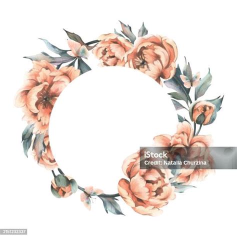 파스텔 복숭아 솜털 색의 날아 다니는 나비와 함께 새싹과 잎이있는 모란 꽃 손으로 그린 식물 수채화 그림입니다 로맨틱 귀여운 아름다운 프레임 화 환 텍스트 템플릿입니다