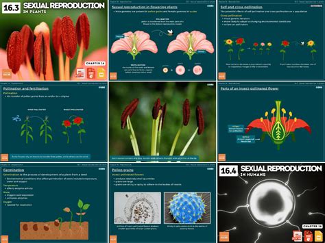Cambridge IGCSE Biology The Complete Course Teaching Resources
