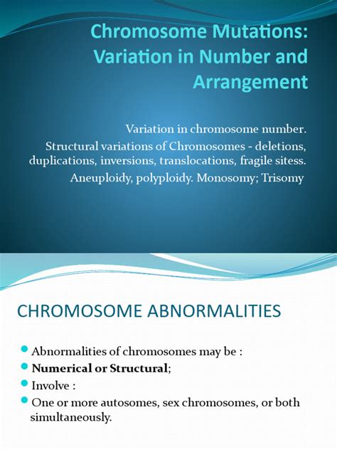 Chromosome Mutations Variation In Number And Arrangement Pdf Meiosis Chromosome