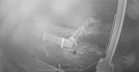 Camera Album On Imgur