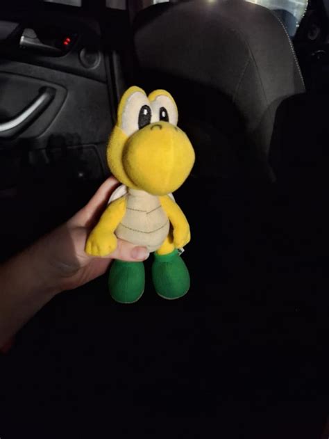 I Have The Mario Plushies Used In Sml If Anyone Is Interested R Gamecollecting