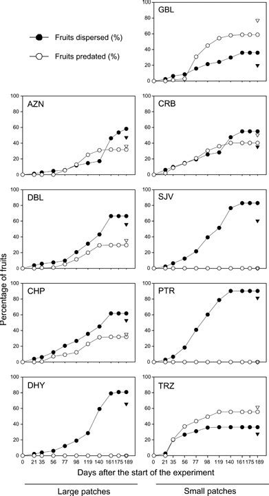 Temporal Dynamics Of Myrtle Myrtus Communis Fruit Consumption By Avian Download Scientific