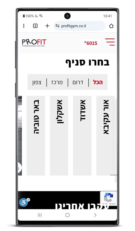 בניית אתר לפרופיט Junami בניית אתרים וחנויות וורדפרס