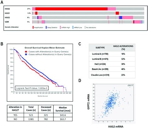 Clinical Relevance Of Has2 In Tcga Metabric Dataset Of Human Breast Download Scientific Diagram