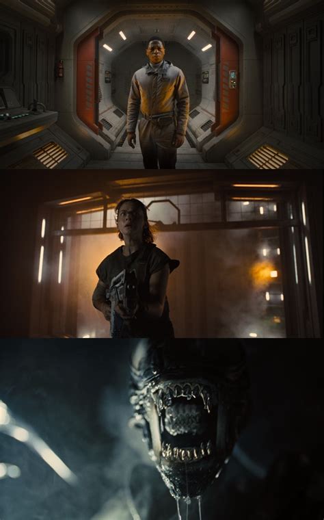 에이리언 로물루스 8월 개봉 확정…韓 관객에 빨리 보여주고 싶어 나무뉴스