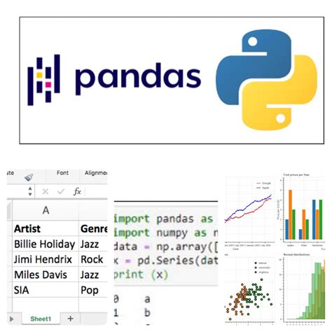 Python Pandas Programming Datavisual Management Reporting