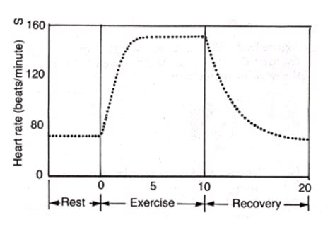 Pin By Mr Breeze On Science Systems Chart Science Line Chart
