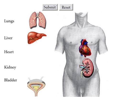 Changing A Multiple Choice Question To A Drag And Drop Question May Download Scientific Diagram