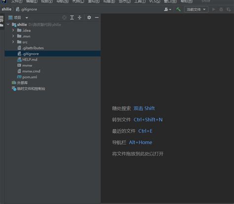 在intellij idea中使用spring initializr生成器创建基础项目 idea创建spring initializr csdn博客