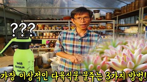 다육식물 물주는 가장 이상적인 3가지 방법 Youtube