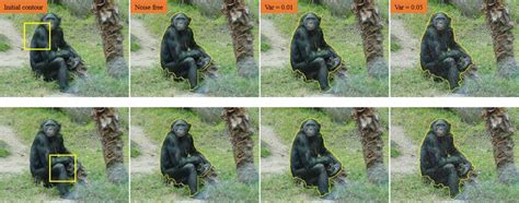 Segmentation Outcomes Under Different Levels Of Gaussian Noise And
