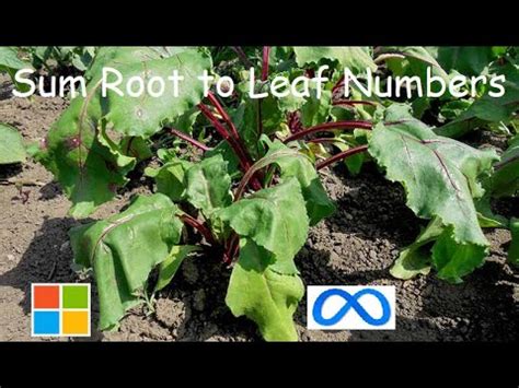 Sum Root To Leaf Numbers LeetCode Python YouTube