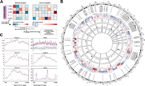 Frontiers Super Enhancer Driven Core Transcriptional Regulatory