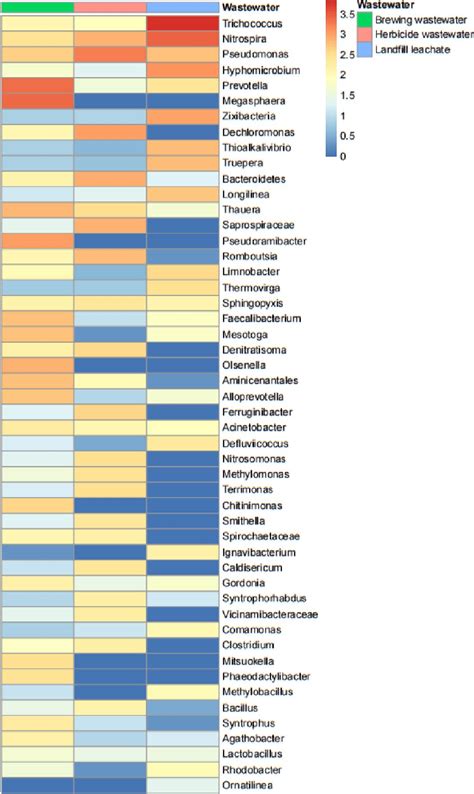 otu abundance clustering heat maps of the three sewages at the genus