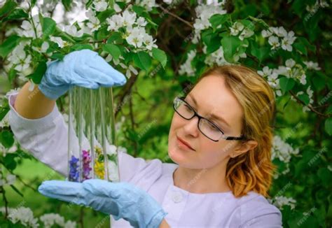 Flower Structure Monoecious Vs Dioecious Plants