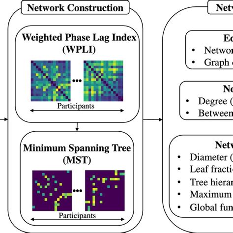 overview of brain network analysis which comprises eeg preprocessing