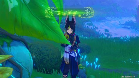 How To Complete The World Of Aranara Quest And Gain All Rhythms In Genshin Impact Gameranx