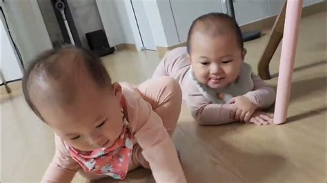 귀여운 쌍둥이 서준이 서아 공놀이 Youtube