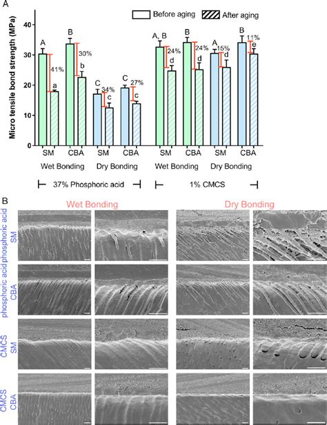 Bond Strength And Bonding Interface Download Scientific Diagram