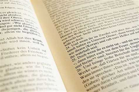 Vector Illustration Of An Open Book Document Read Business Vector Document Read Business Png