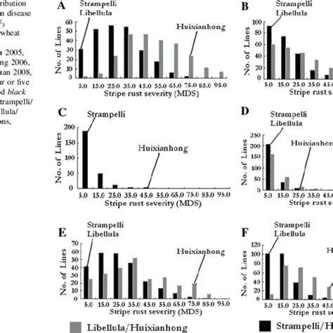 Frequency Distribution Of Stripe Rust Maximum Disease Severities Mds Download Scientific