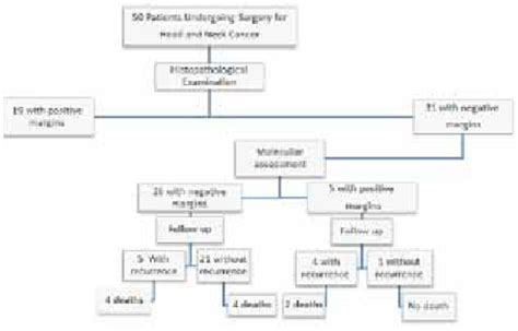 Molecular Analysis And Histopathological Assessment Of The Surgical