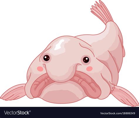 Blob Fish Royalty Free Vector Image VectorStock