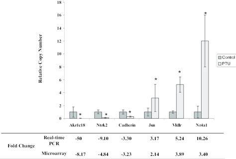 Verification Of Microarray Results Six Genes Were Selected From The Download Scientific