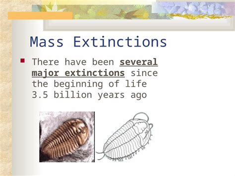 Ppt Extinctions Loss Of Biodiversity Extinction The Disappearance