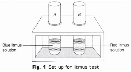 Lab Manual Properties Of Acids And Bases Class PDF Download