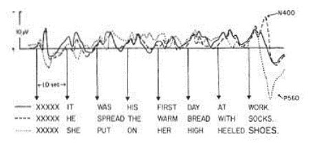 Adaptation Of The Erp Graphs Presented By Kutas And Hillyard 1980 203 Download Scientific