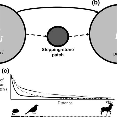 Conceptual Framework Of Generalized Network Connectivity Model