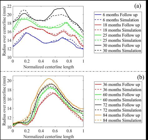 The Variation Of The Radius Along The Centerline Of The Models Download Scientific Diagram