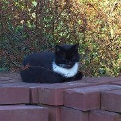 Stream Andreas Hauser 3 Music Listen To Songs Albums Playlists For Free On Soundcloud