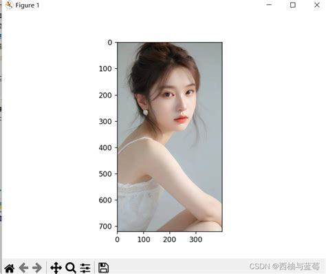python的三种方式显示图片 python显示图片 csdn博客