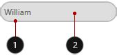 Appearance Customization WPF Controls DevExpress Documentation