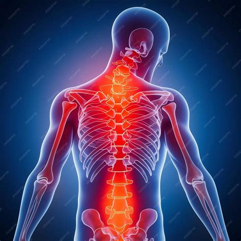 Premium Photo Backbone With Red Fragmented Vertebrae Back Problem Concept 3d Render