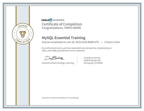 Yinfei Lucia Wang On Linkedin Certificate Of Completion
